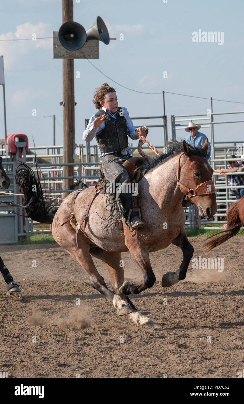 Teenage boy competes in the Saddle Bronc competition at the Nanton Nite ...