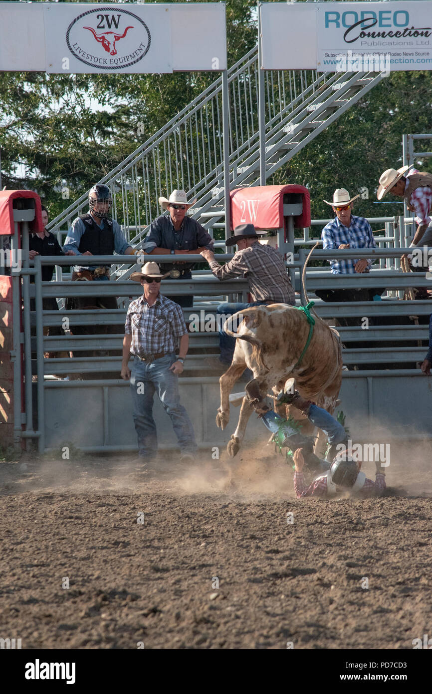 Youth saddle bronc riding hi-res stock photography and images - Alamy