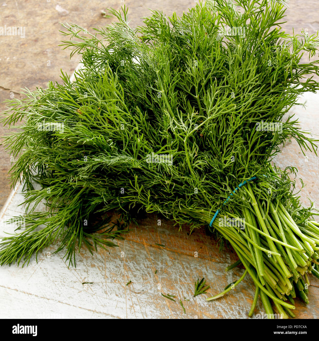 fresh dill herb in bunch Stock Photo - Alamy