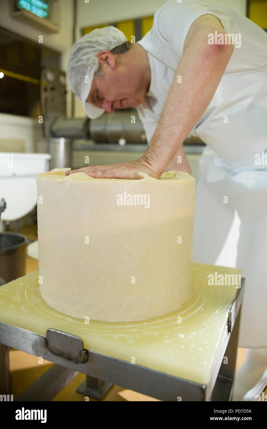 Cheddar cheese production Stock Photo - Alamy