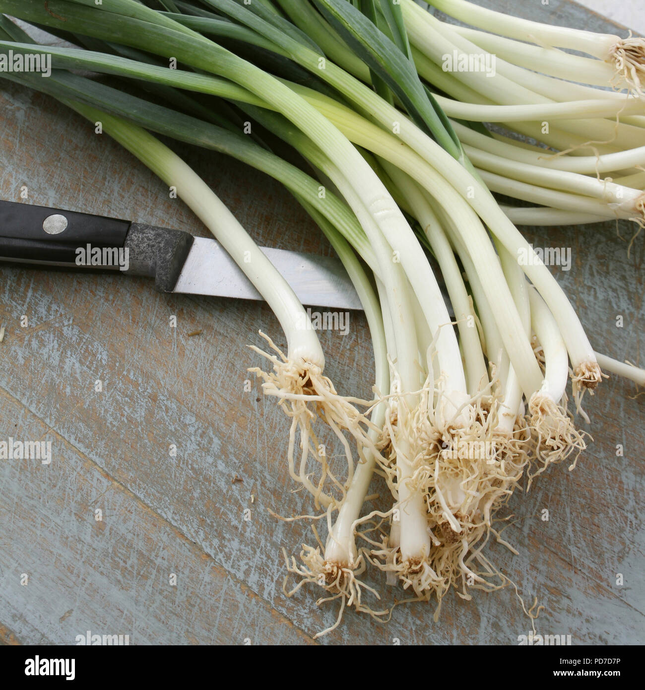 preparing fresh leeks Stock Photo - Alamy