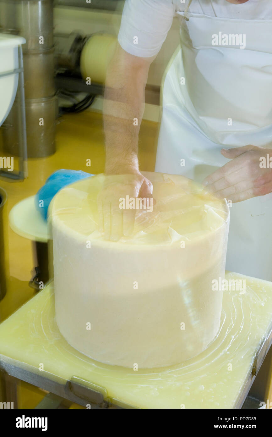 Cheddar cheese production Stock Photo - Alamy