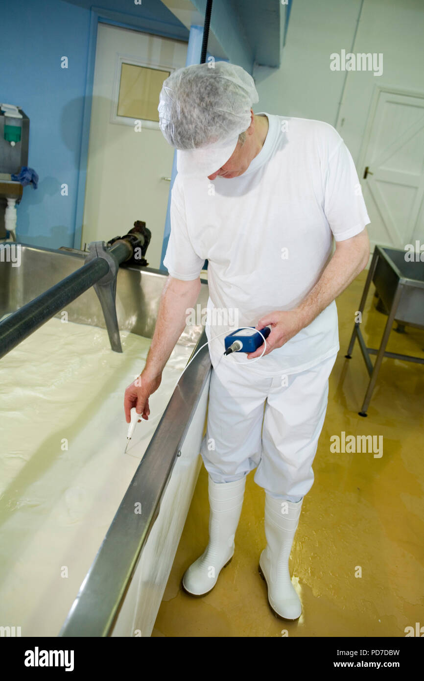 Cheddar cheese production Stock Photo - Alamy