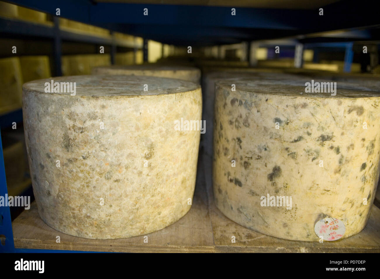 Maturing cheddar hi-res stock photography and images - Alamy