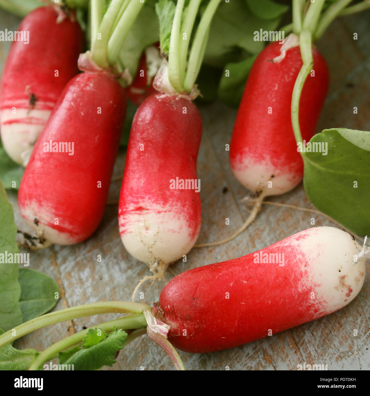 Briritsh hi-res stock photography and images - Alamy