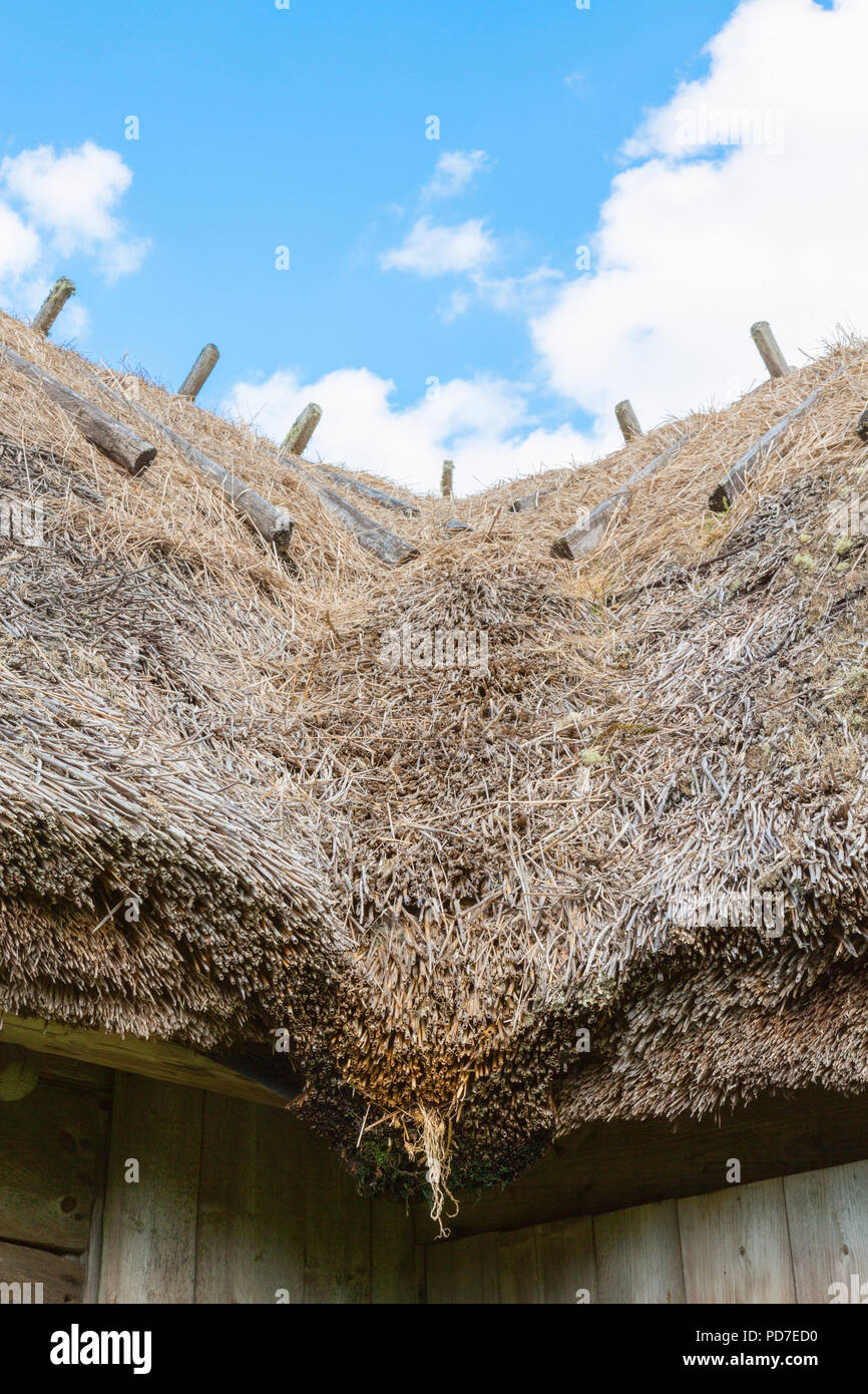 Reed covered roof on house Stock Photo - Alamy