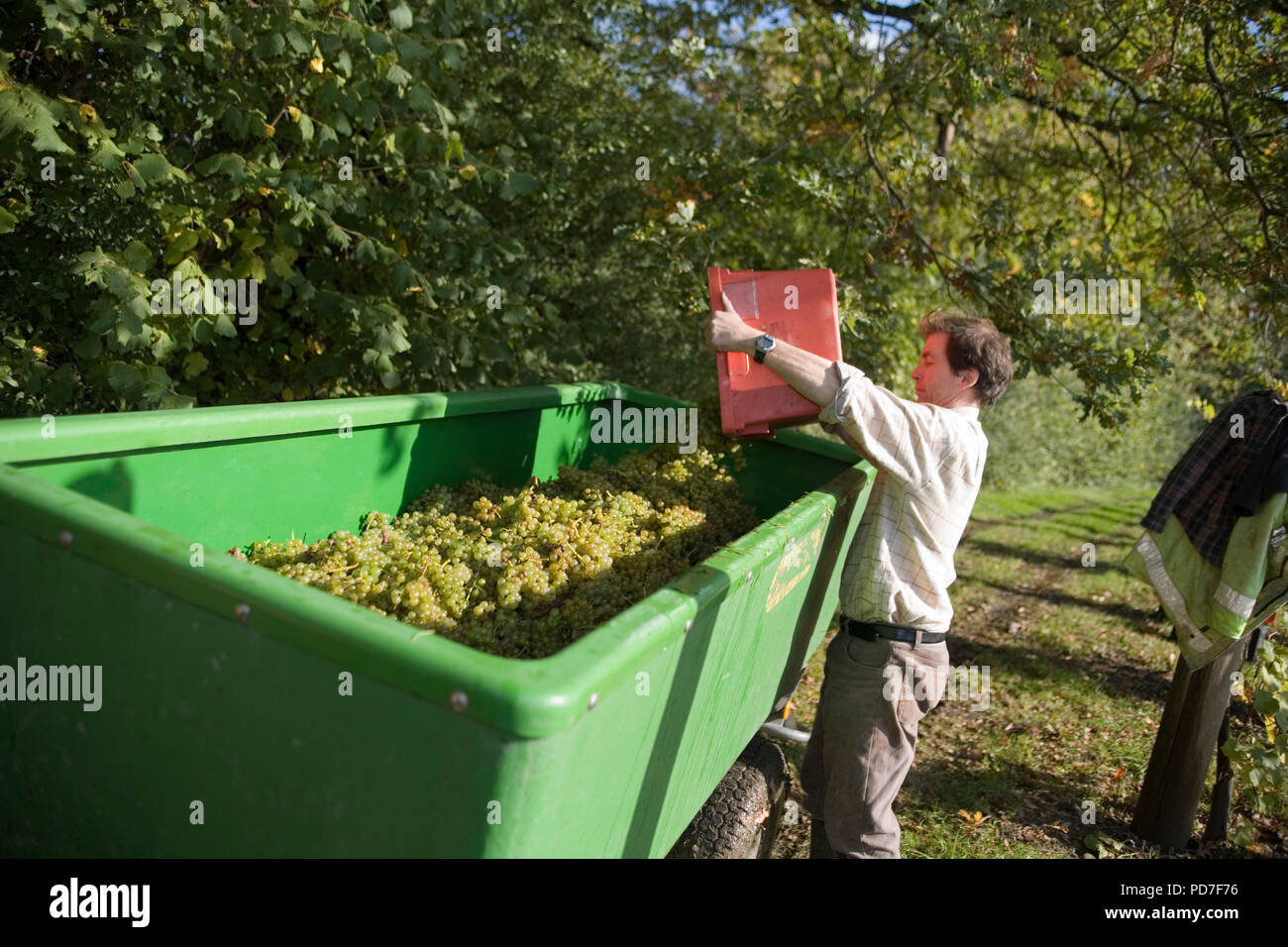 Paul dale hi-res stock photography and images - Alamy