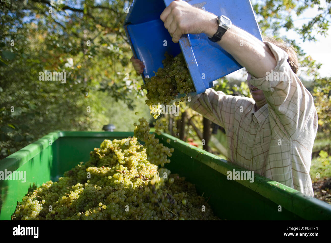 Paul dale hi-res stock photography and images - Alamy