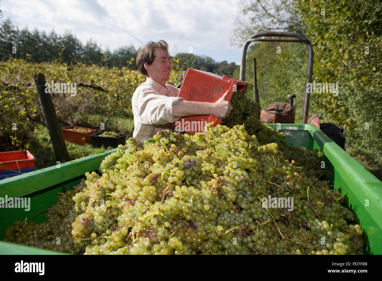 Paul dale hi-res stock photography and images - Alamy