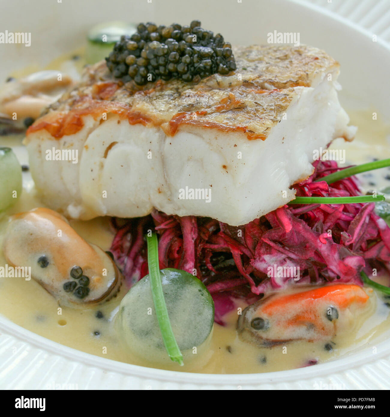 Plated cod loin meal hi-res stock photography and images - Alamy