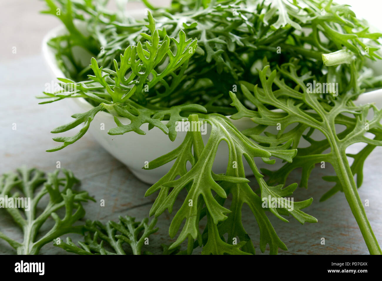 Kikuna leaves hi-res stock photography and images - Alamy