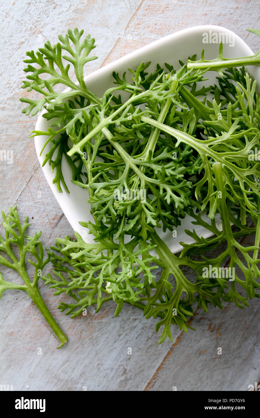 Kikuna leaves hi-res stock photography and images - Alamy