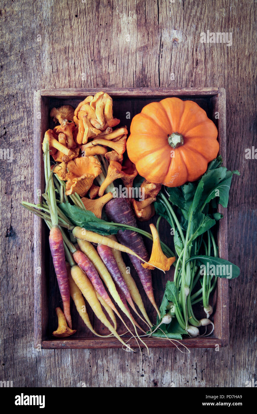 seasonal autumn vegetables Stock Photo - Alamy