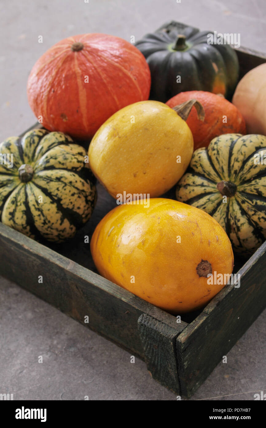 Selection of squash hi-res stock photography and images - Alamy