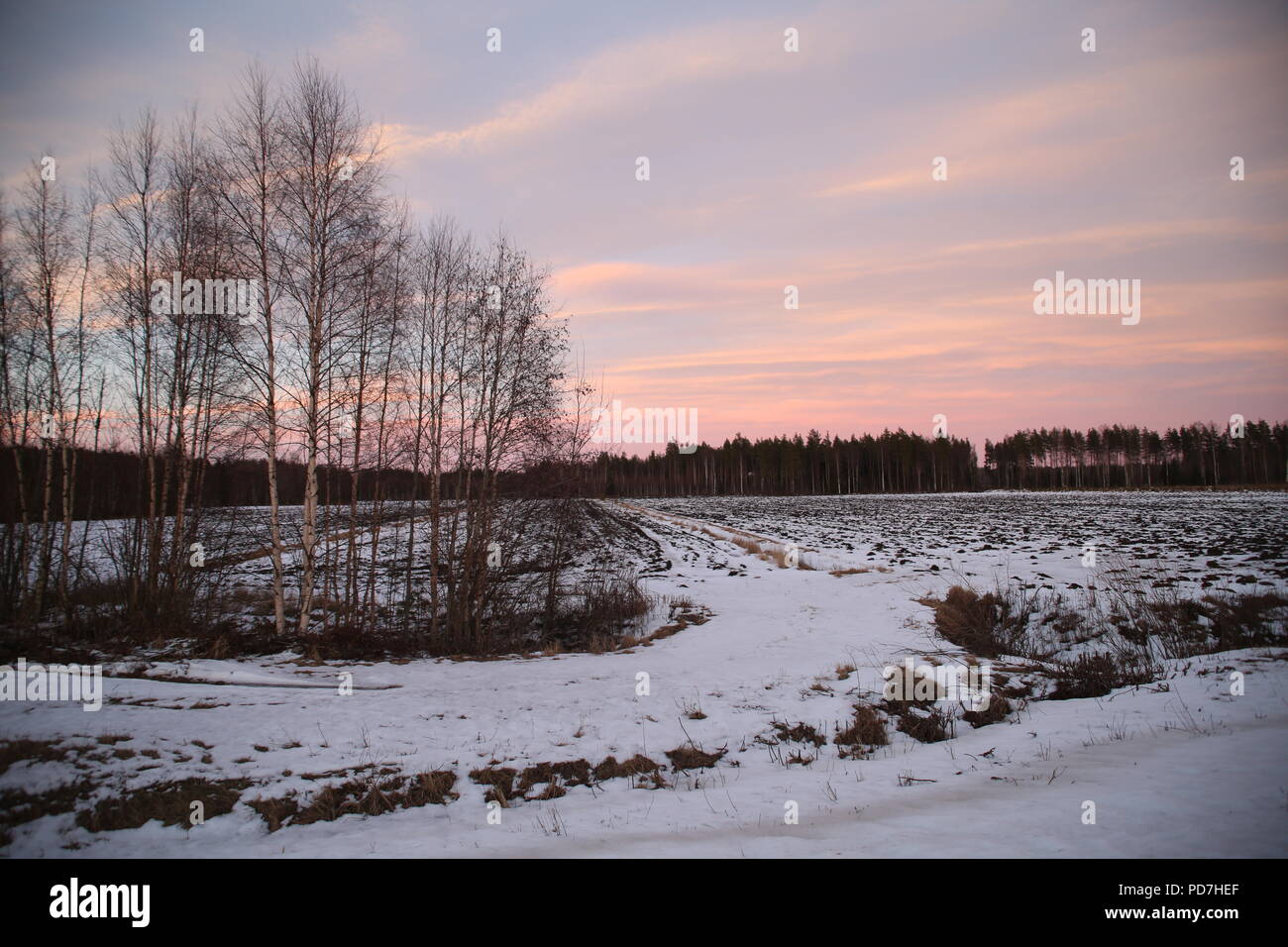 Paysage finlandais hi-res stock photography and images - Alamy