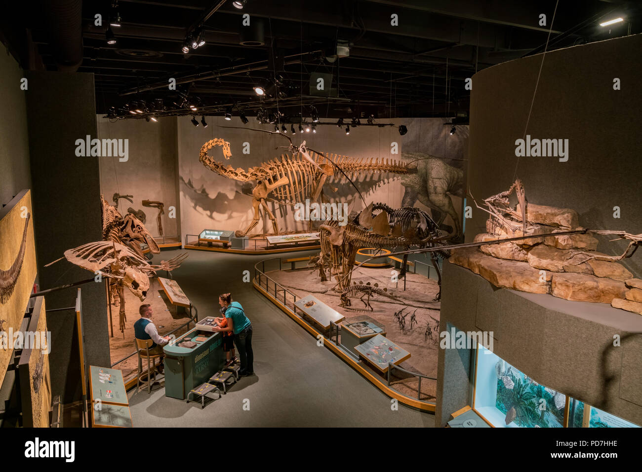 Denver museum fossil hi-res stock photography and images - Alamy