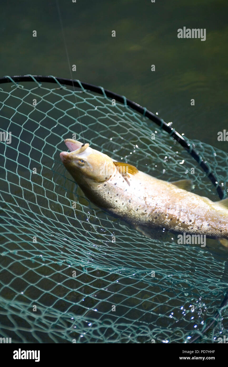 We keep fishing hi-res stock photography and images - Alamy