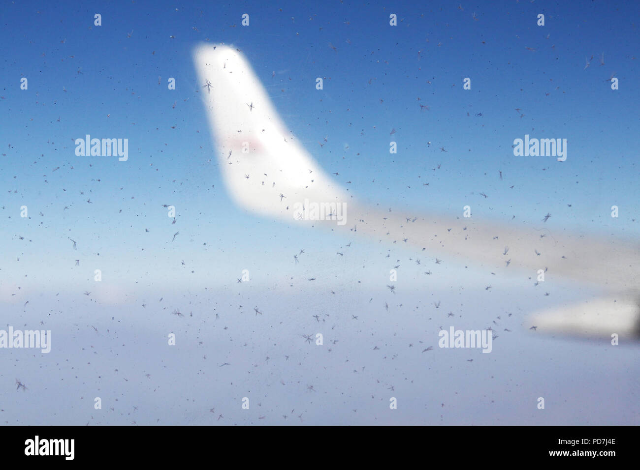 Aerial view of jet plane wing, clouds and freeze window Stock Photo - Alamy