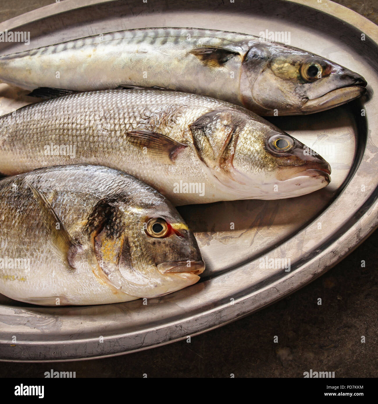 Saltwater fish selection hi-res stock photography and images - Alamy