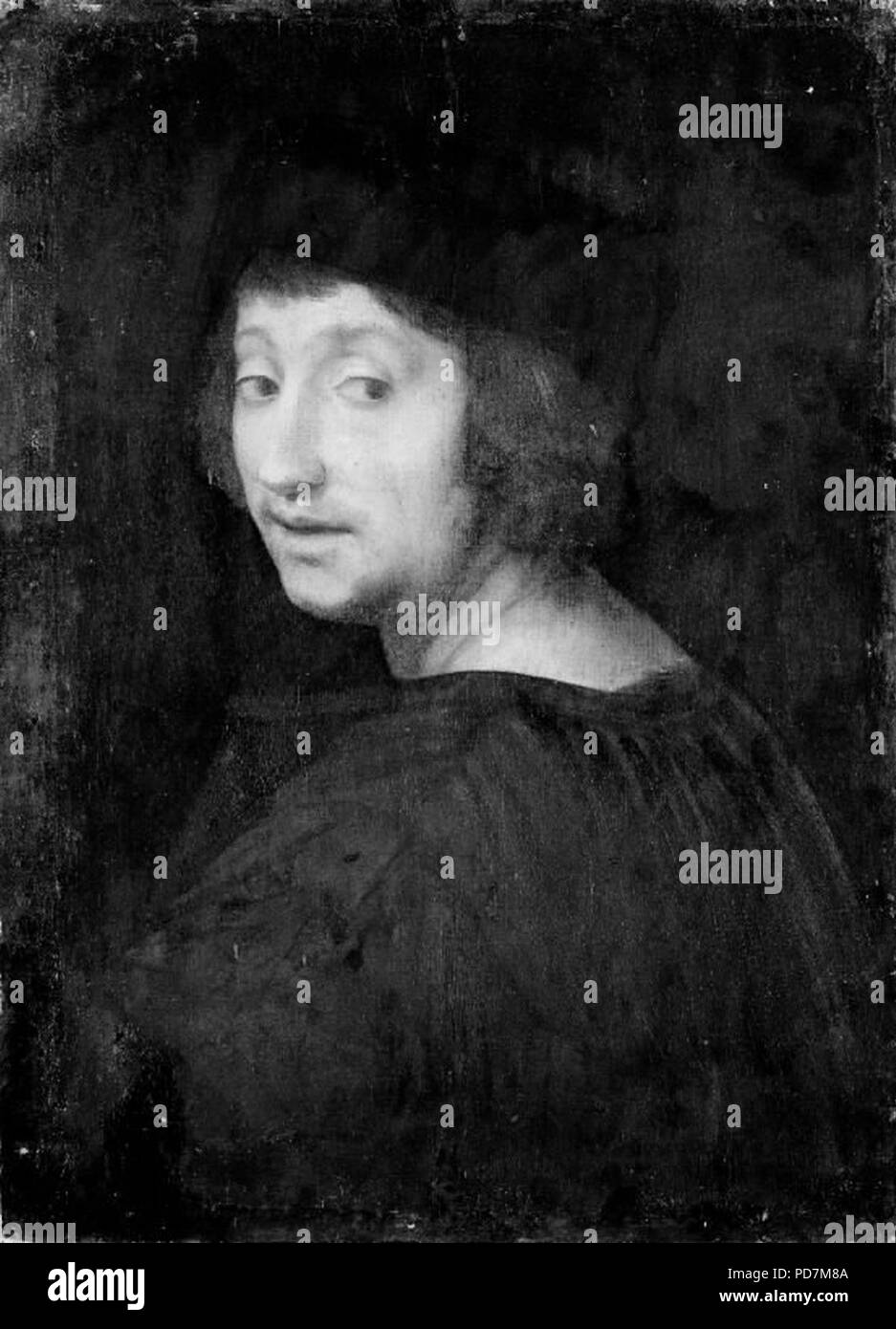andrea del sarto - portrait of a man Stock Photo - Alamy