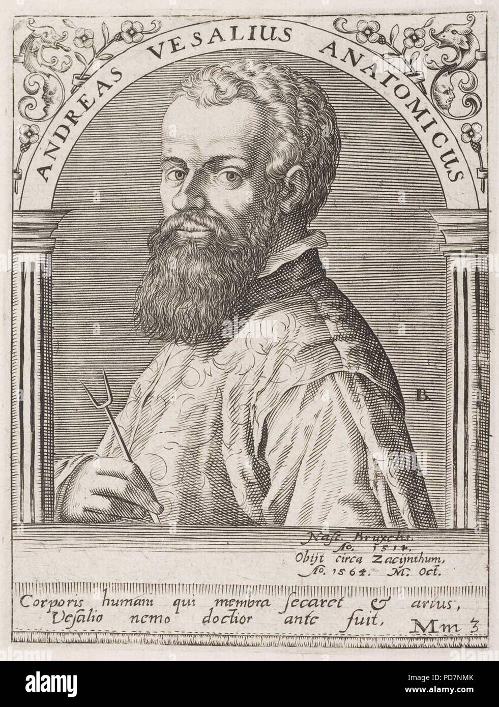 Andreas Vesalius Anatomicus Stock Photo - Alamy