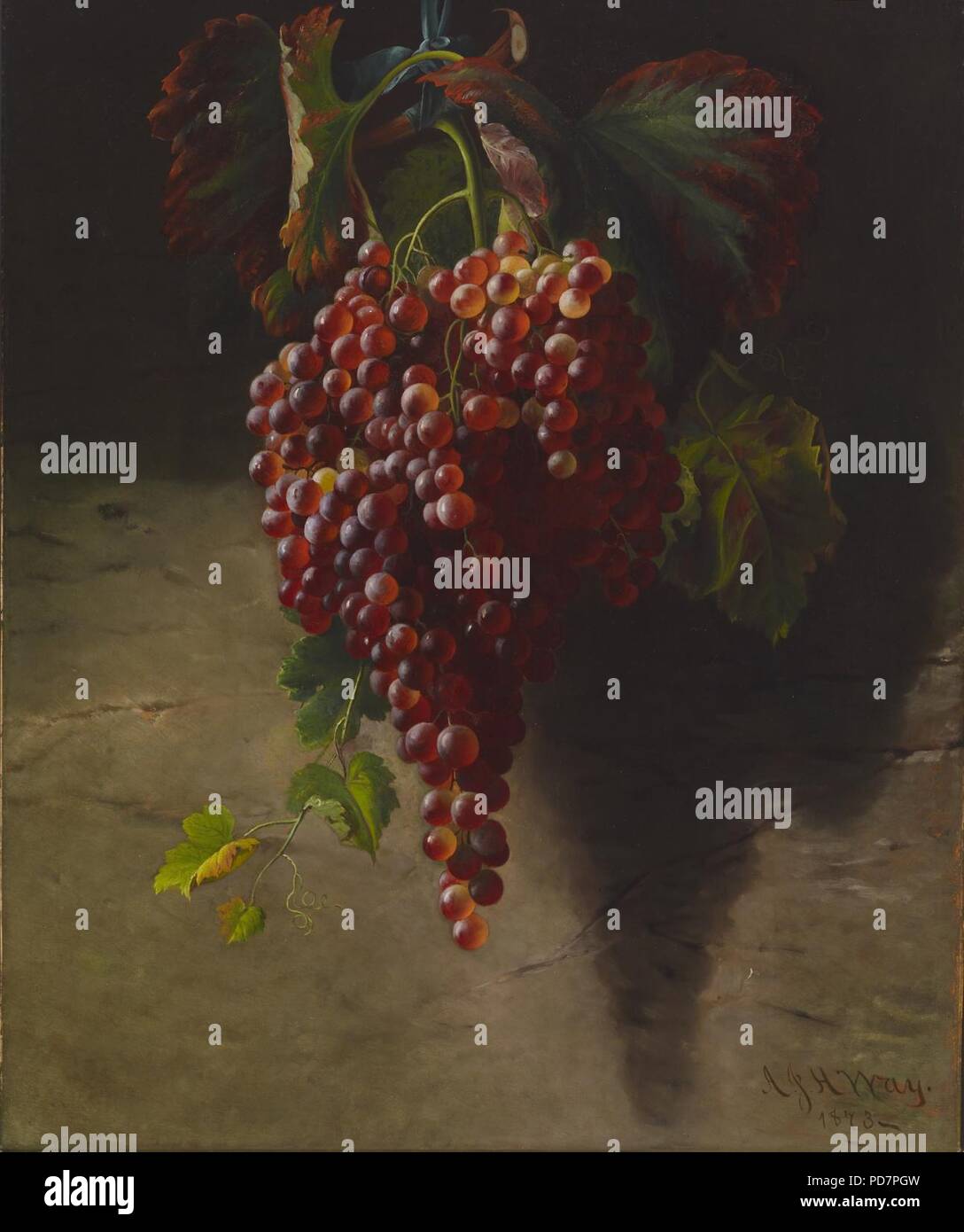 Andrew John Henry Way - Bunch of Grapes Stock Photo - Alamy