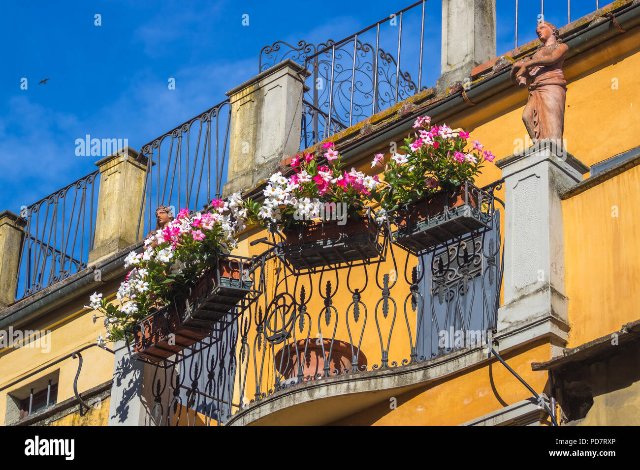 Pot with flowers in a typical street of old city florence Stock Photo ...
