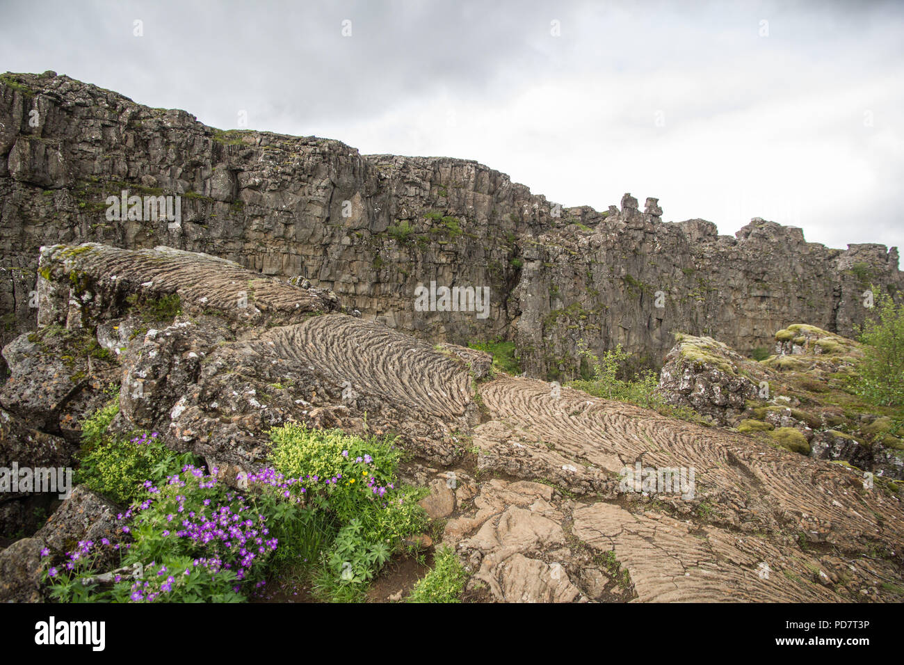 Law rock loca hi-res stock photography and images - Alamy