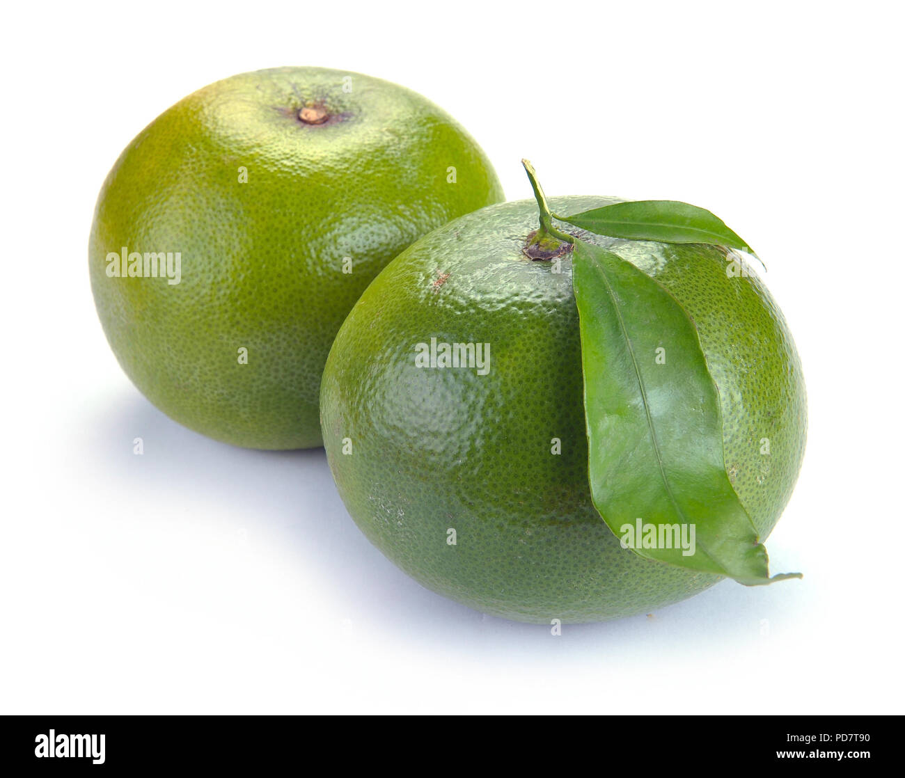 citrus sweety fruit with leaves on white background Stock Photo - Alamy