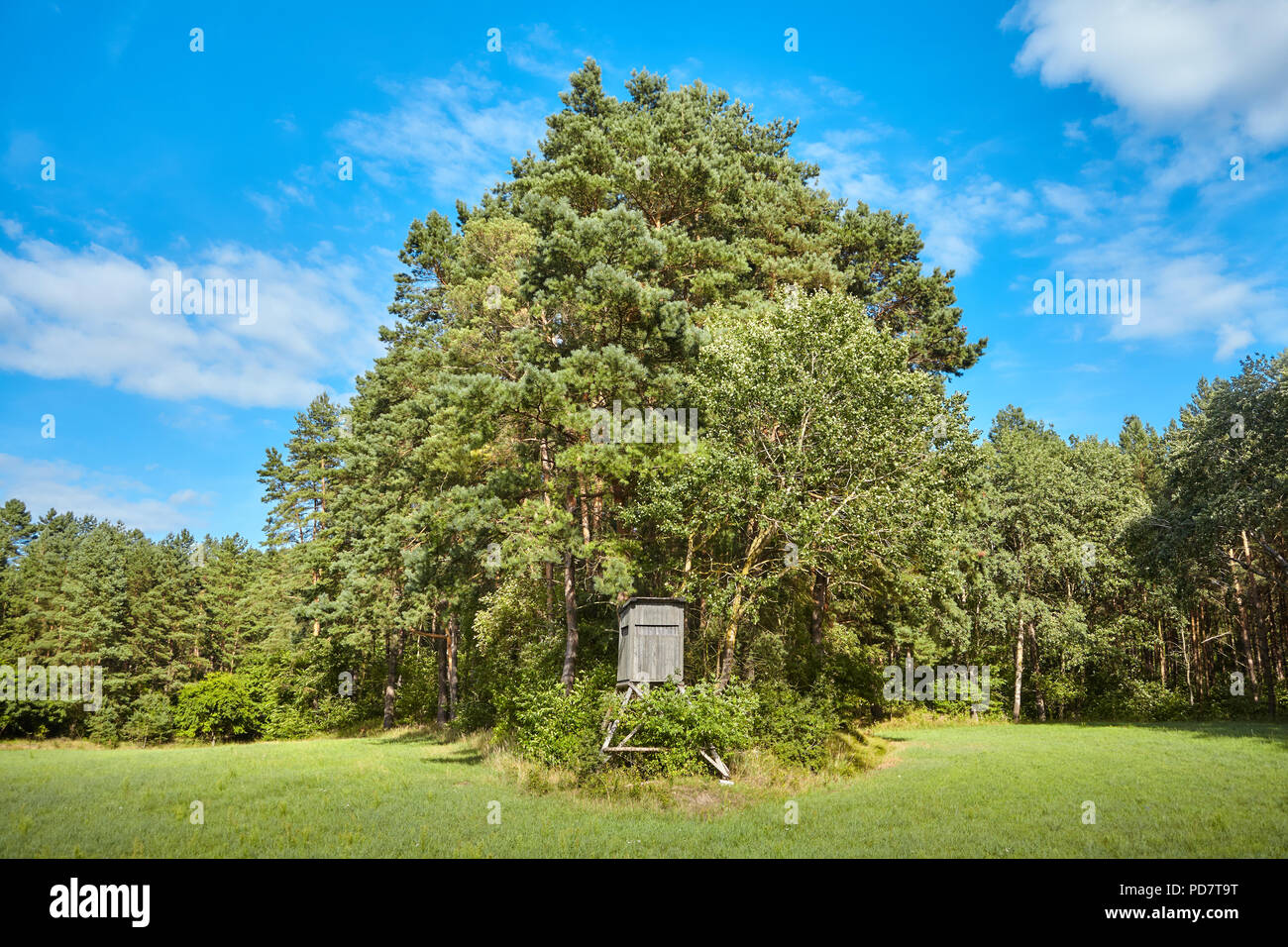 Observation platform forest hi-res stock photography and images - Alamy