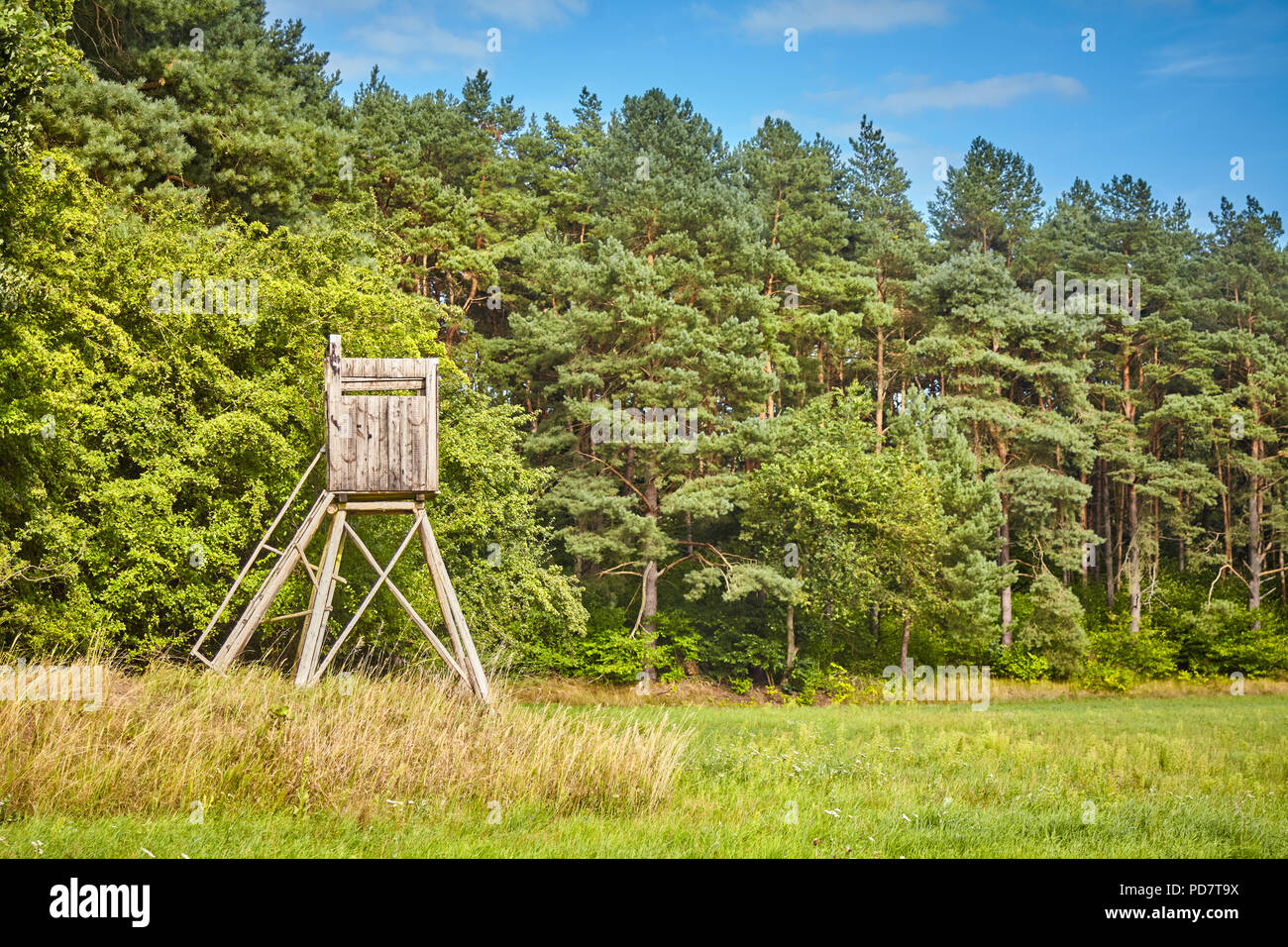 Wooden forest platform hi-res stock photography and images - Alamy