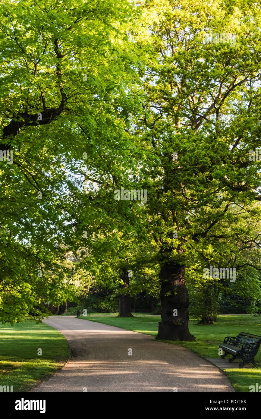 England, London, Greenwhich, Greenwhich Park, Trees and Footpath Stock ...