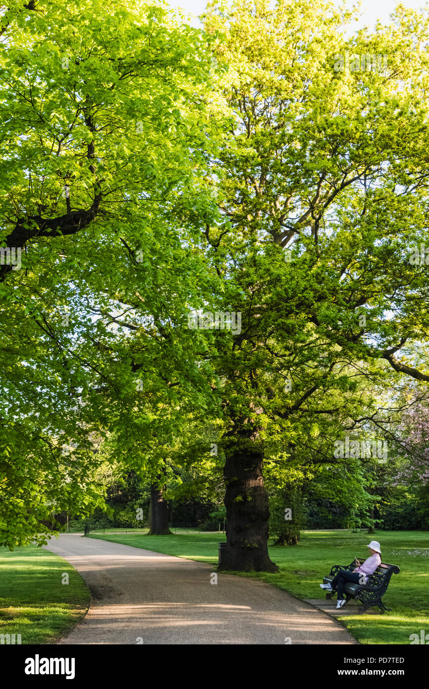 England, London, Greenwhich, Greenwhich Park, Trees and Footpath Stock ...