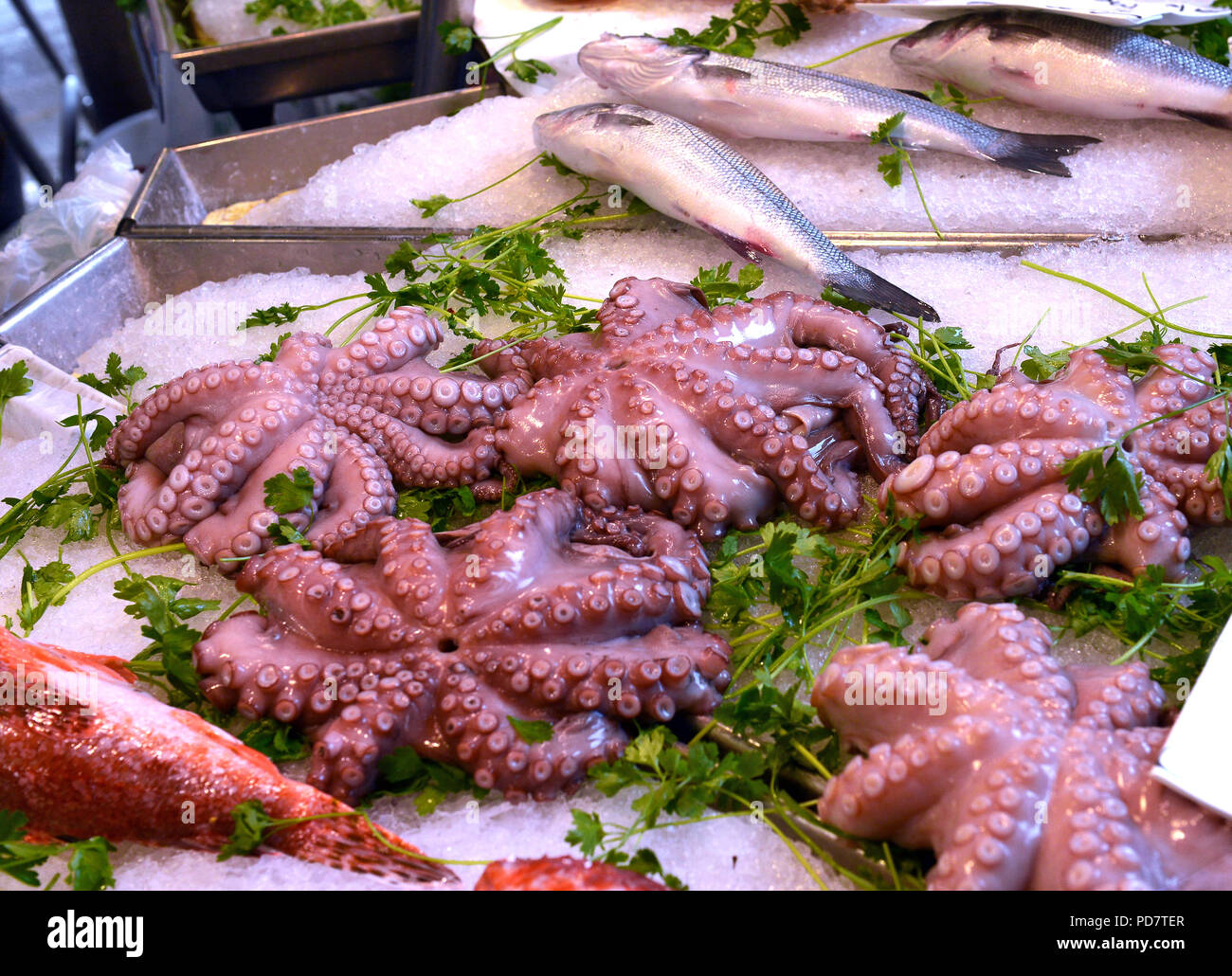 octopus on display at the fish market Stock Photo - Alamy