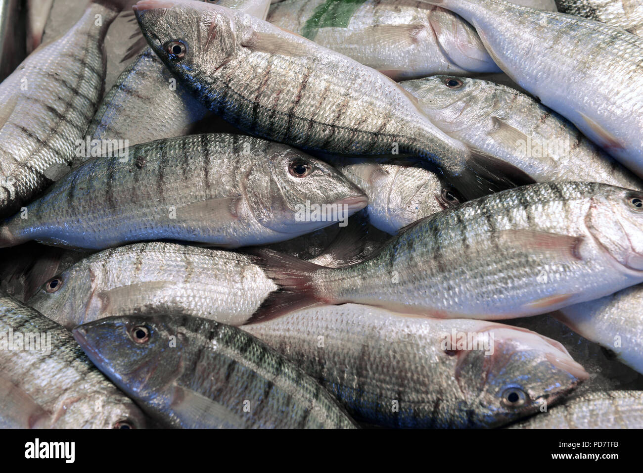Grouper fish on ice hi-res stock photography and images - Alamy