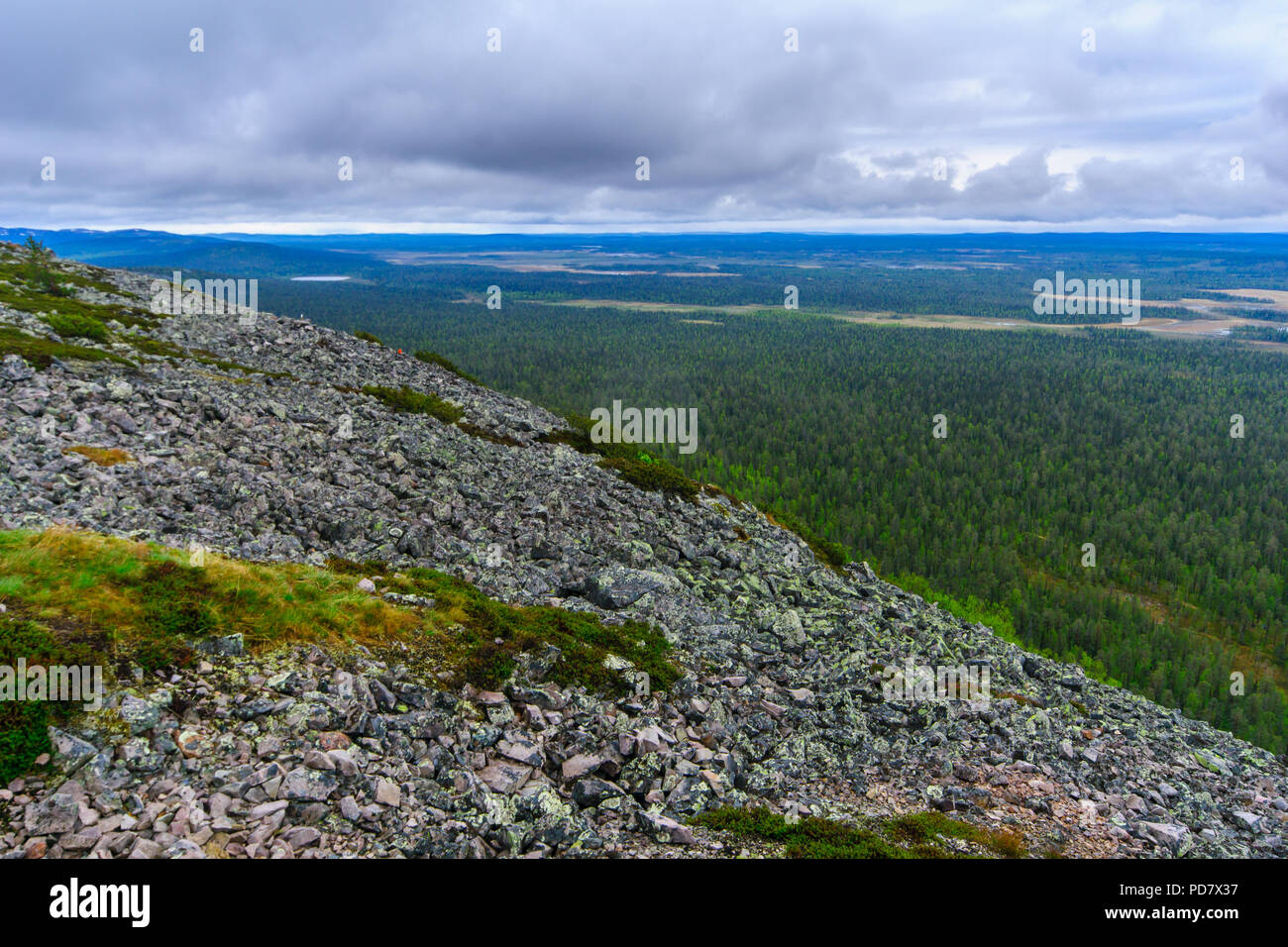 Landscape from the summit of Ukko-Luosto Fell, in Pyha-Luosto National ...
