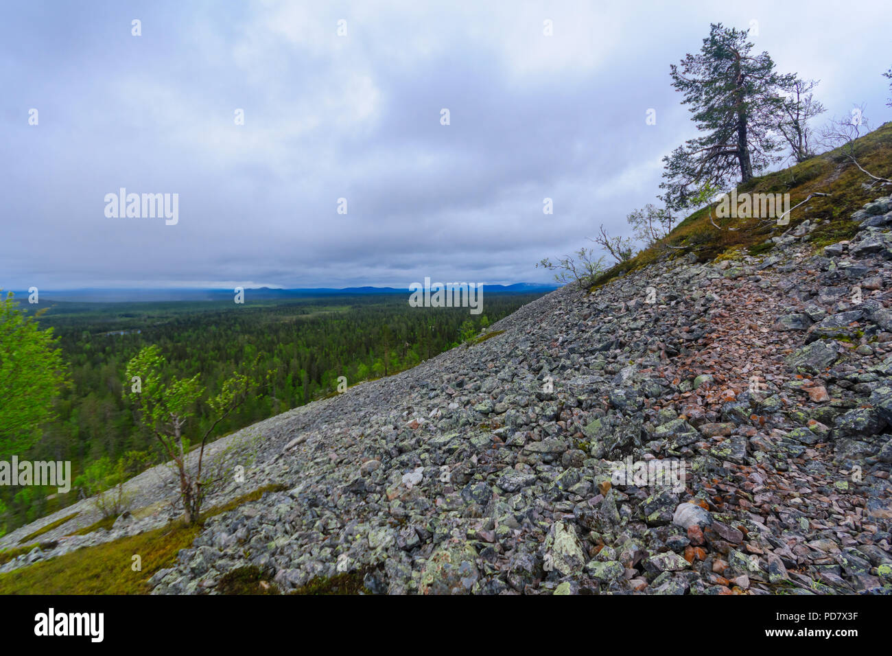 Landscape from the summit of Ukko-Luosto Fell, in Pyha-Luosto National ...