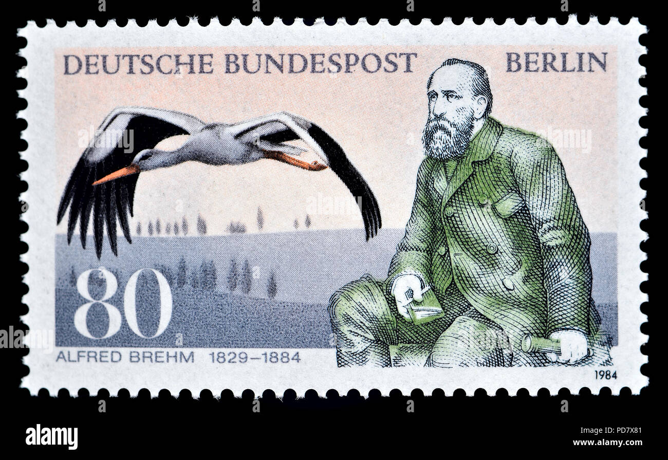 Alfred edmund brehm hi-res stock photography and images - Alamy