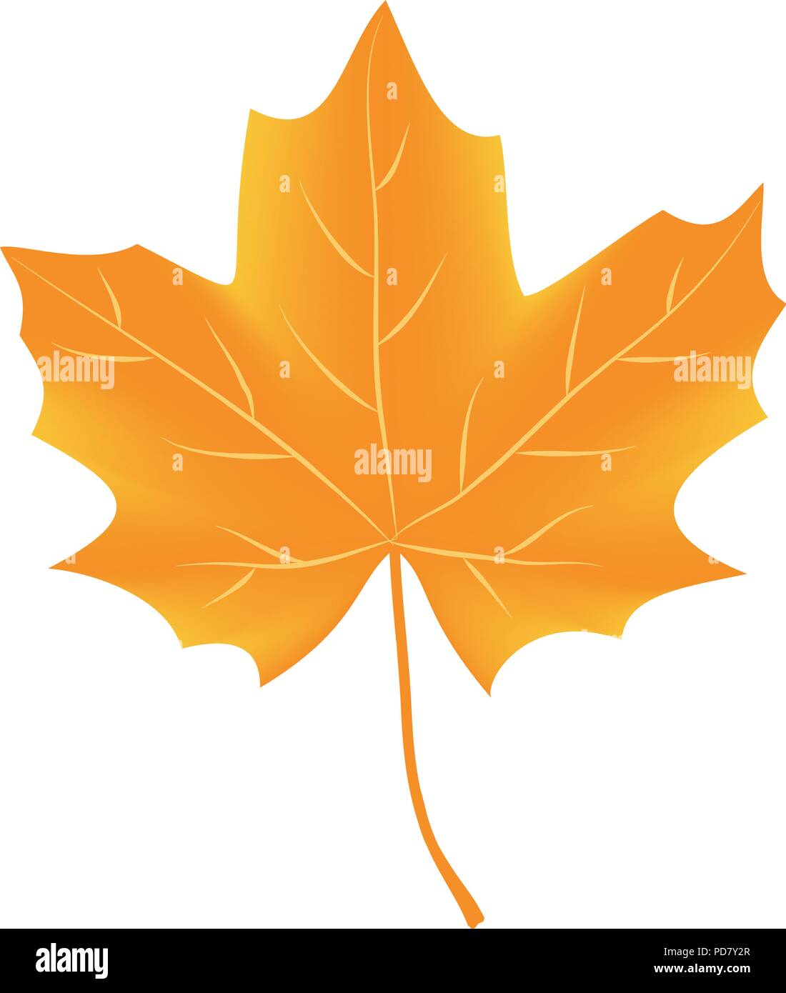 Autumn leaf vector isolated on white background Stock Vector Image ...