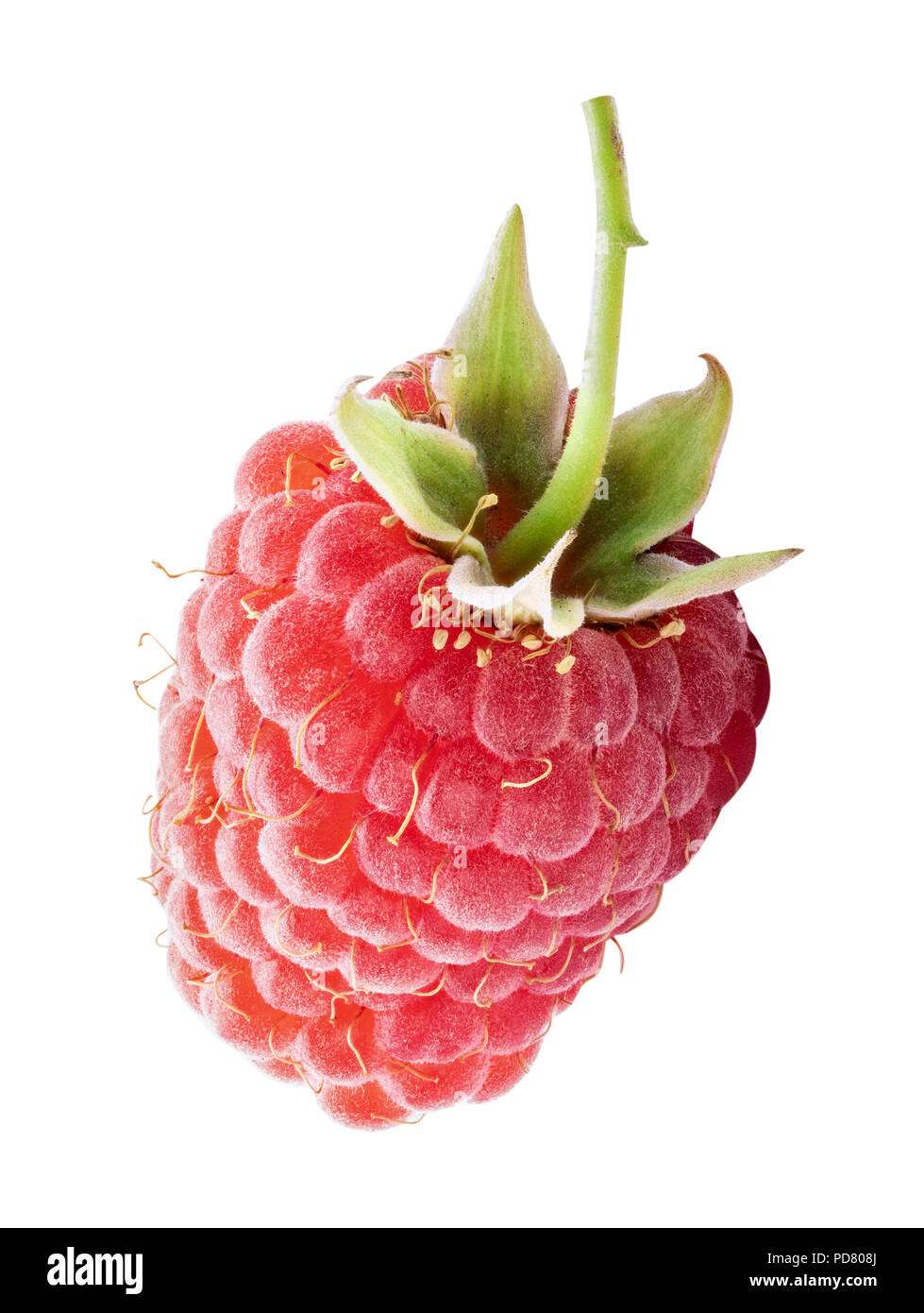 Fresh raspberry isolated on white background Stock Photo - Alamy