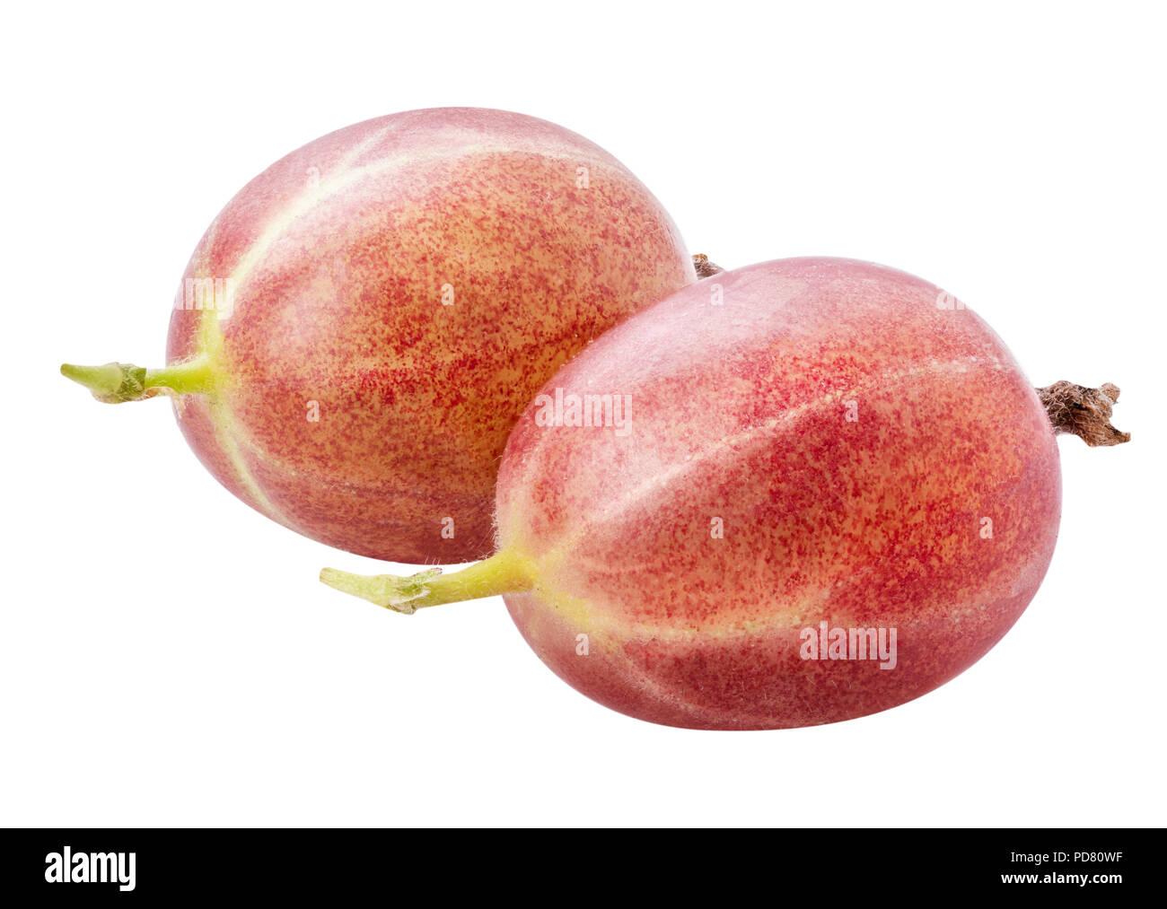 Fresh gooseberry isolated on white background Stock Photo - Alamy