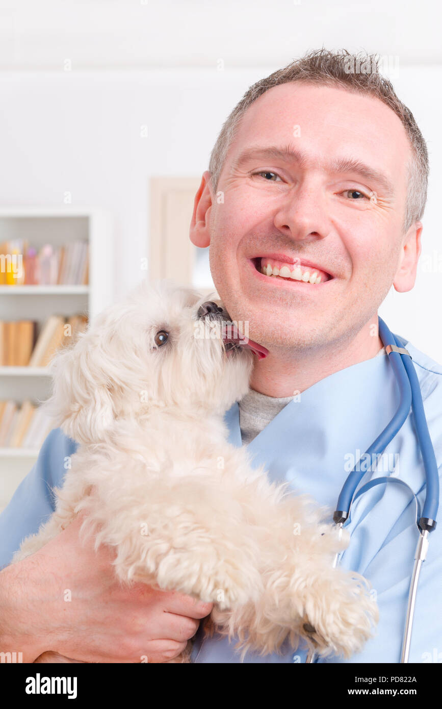 Happy vet with little dog maltese and stethoscope Stock Photo - Alamy