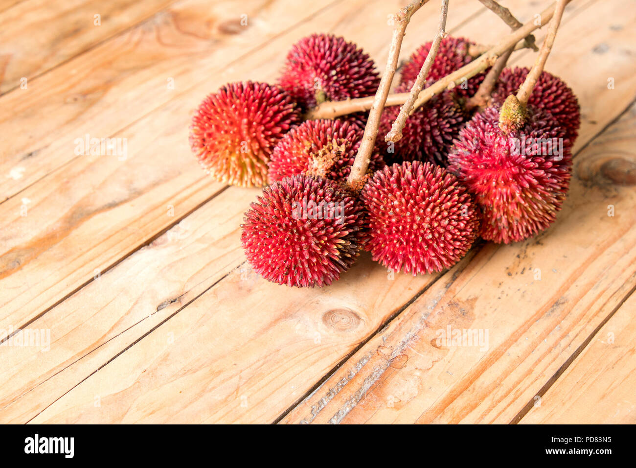 Family sapindaceae hi-res stock photography and images - Alamy