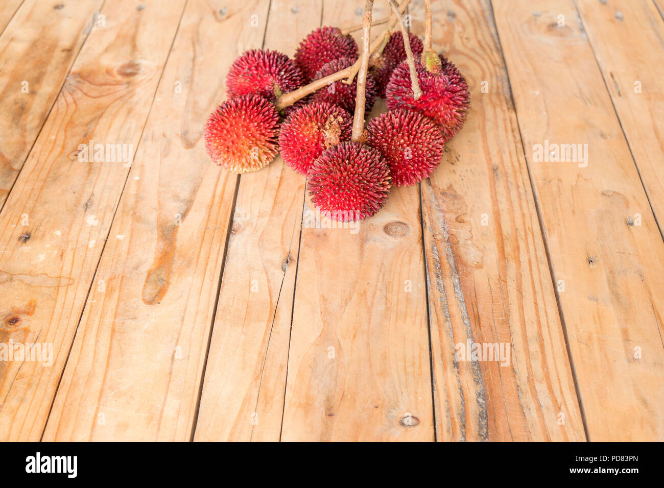 The pulasan, Nephelium mutabile Blume (family Sapindaceae), is a ...