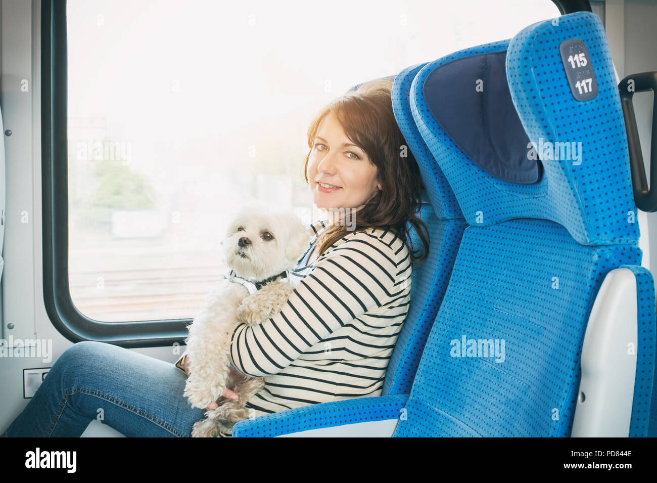 Owner and pet traveling hi-res stock photography and images - Alamy