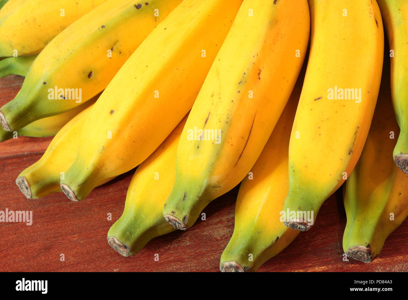 Green Cavendish Bananas High Resolution Stock Photography and Images ...