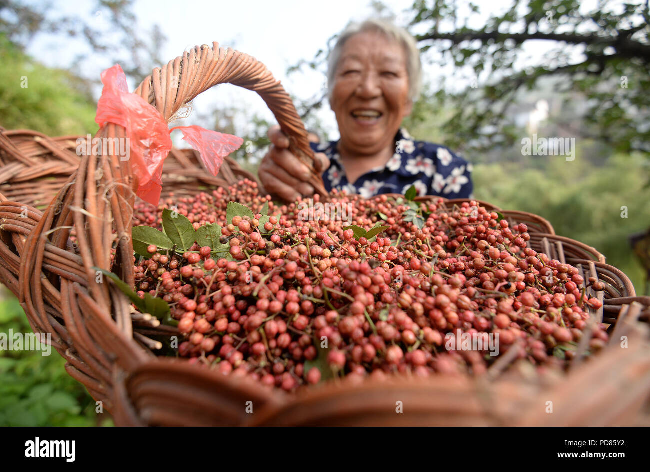 Handan, Handan, China. 7th Aug, 2018. Handan, CHINA-Peasants are busy ...