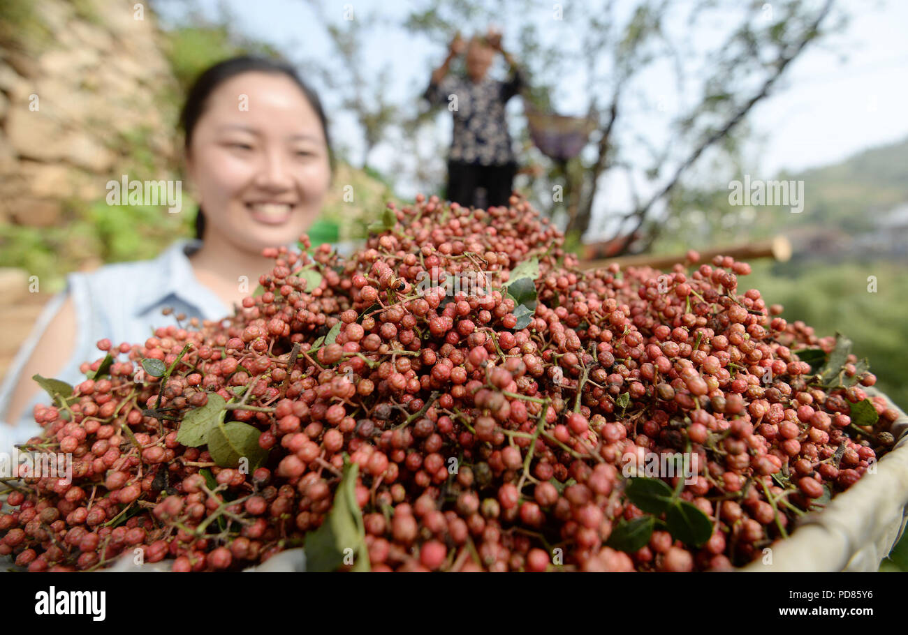 Handan, Handan, China. 7th Aug, 2018. Handan, CHINA-Peasants are busy ...