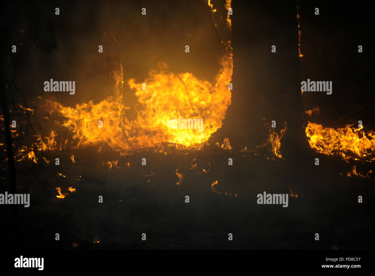 Ukiah, California, USA. 7th Aug, 2018. The back fire slowly consumes ...