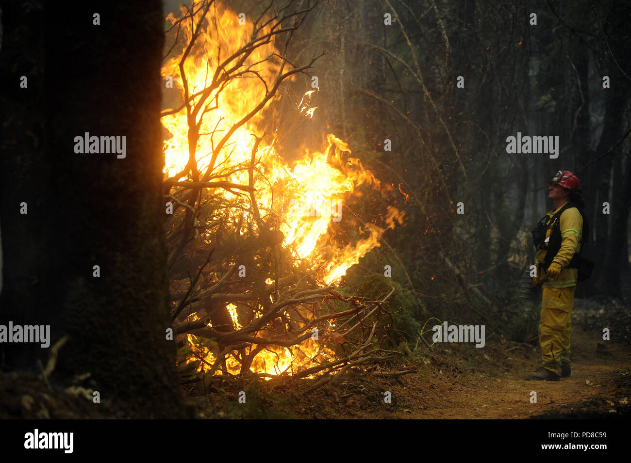 Ukiah, California, USA. 7th Aug, 2018. A Rancho Adobe Fire District ...